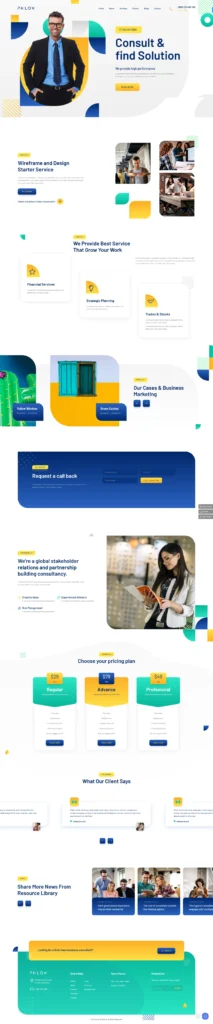 Consultants - Striders Tech